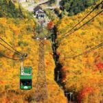 HokkaidoKurodake Ropeway, Asahiyama Zoo Autumn Leaves Tour - The Itinerary Breakdown: What Makes Each Stop Special