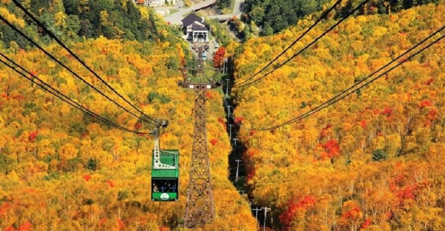 HokkaidoKurodake Ropeway, Asahiyama Zoo Autumn Leaves Tour - The Itinerary Breakdown: What Makes Each Stop Special