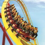 Hong Kong: Ocean Park Entry Ticket with Set Meal or Popcorn - A Detailed Look at What to Expect