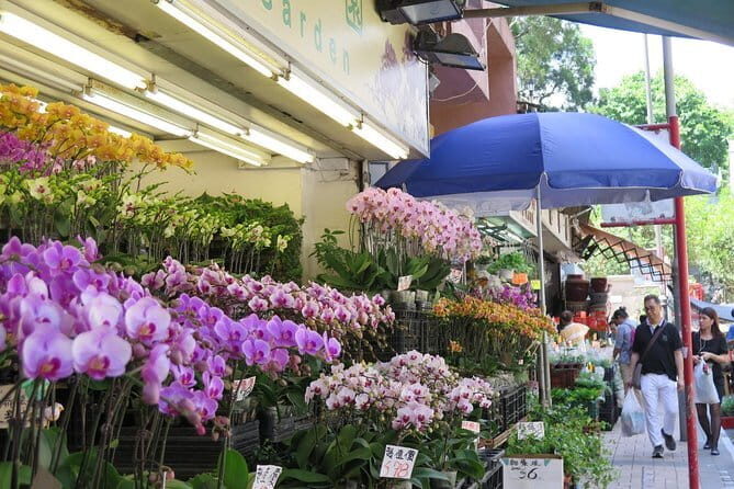 Hong Kong Private Shore Excursion 4/6hrs (with car - MPV) - What Real Travelers Say