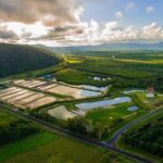 Hook A Barra Fishing Experience - The Sum Up