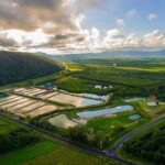 Hook-a-Barra Gourmet Farm Tour - Final Thoughts on the Tour’s Value