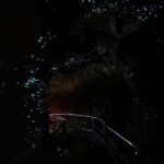 Hop on Hop off - Tamborine Rainforest Skywalk + Glow Worm Caves - Key Points