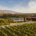 Hop on Hop off Wine Tours Bannockburn - departing Queenstown - What You Can Expect as a Traveler