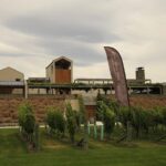 Hop on Hop off Wine Tours Marlborough - The Food and Drink Highlights Continue