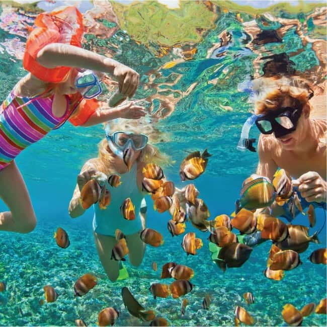 Hopping Tour, Vip Tour 3 Islands and Mudbath - FAQ
