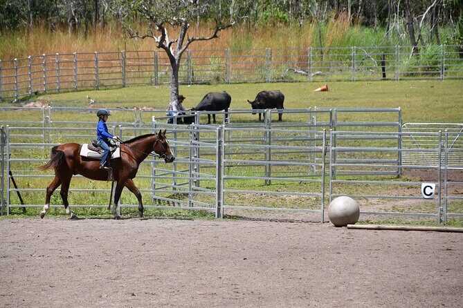 Horse Riding Adventure in the Outback - Authentic Experiences Highlighted in Reviews