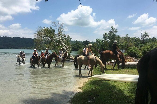 Horse Riding in Port Vila with Yumi Tours - The Itinerary: From Forest to Beach