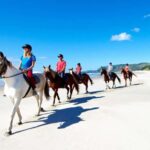 Horse Riding, Wine Tasting & Art Trail Private Tour - Why This Tour Works Well