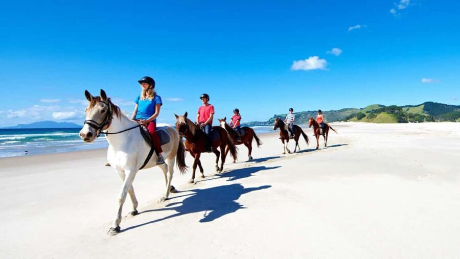 Horse Riding, Wine Tasting & Art Trail Private Tour - Why This Tour Works Well