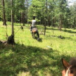 Horseback Riding Tour to Turtle Rock & Aryabal - Final Thoughts: Is It Worth It?