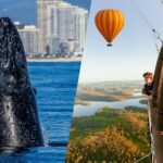 Hot Air Balloon Gold Coast and Seaworld Whale Watching - The Practicalities: Transportation, Timing, and Cost