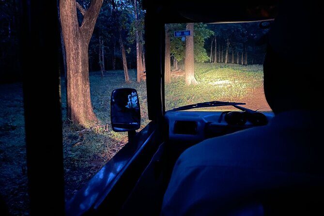 Hubli to Anshi National Park (Kali TigerReserve) & Goa Beach Tour - Anshi National Park and Kali Tiger Reserve