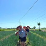 Hue Countryside Bike Tour & Cooking Class - Final Thoughts: Is This Tour Right for You?