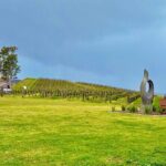 Hunter Valley Escape A Day of Wine Art and Aussie Countryside - Why This Tour Works Well for Certain Travelers
