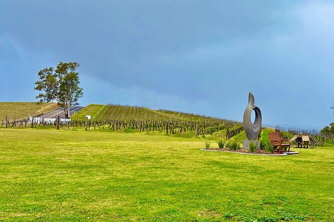 Hunter Valley Escape A Day of Wine Art and Aussie Countryside - Why This Tour Works Well for Certain Travelers