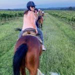 Hunter Valley Horse Ride - 90 Minutes -Vineyard & Mountain Views - The Sum Up – Is It Worth It?
