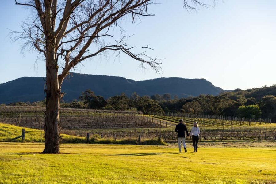 Hunter Valley: Pooles Rock Premiere Wine Tasting - Who Should Consider This Experience?