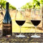 Hunter Valley Wine Tasting Private Tour From Sydney - Price and Value Analysis