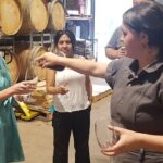 Hunter Valley Wine Tour + Lunch, Gin, Cheese, Choc from Newcastle - Who Is This Tour Best For?
