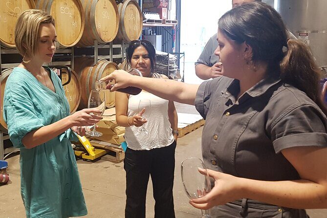 Hunter Valley Wine Tour + Lunch, Gin, Cheese, Choc from Newcastle - Who Is This Tour Best For?