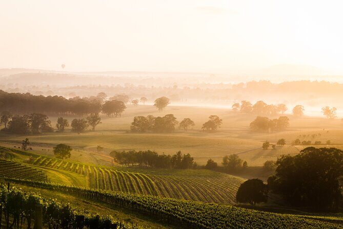 Hunter Valley Winery - Premium Tasting for Private Tours - What the Experience Means for You