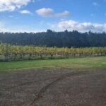 Huon Valley Wine & Cider Tour - Hobart & SE Tasmania - Who Will Love This Tour?