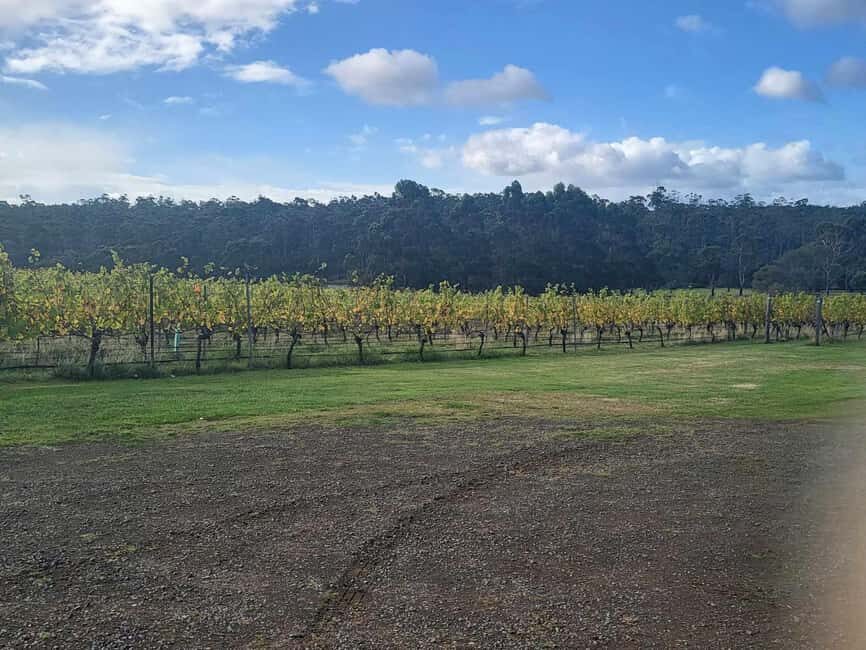 Huon Valley Wine & Cider Tour - Hobart & SE Tasmania - Who Will Love This Tour?