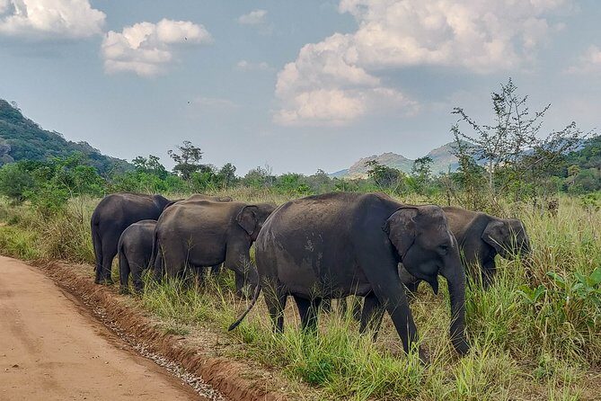Hurulu Eco Park Private Safari from Sigiriya - Who Should Consider This Safari?