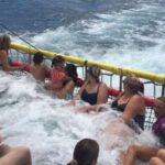 Huskisson: Dolphin Cruise & Boom Netting Experience - The Weather and Dolphin Sightings