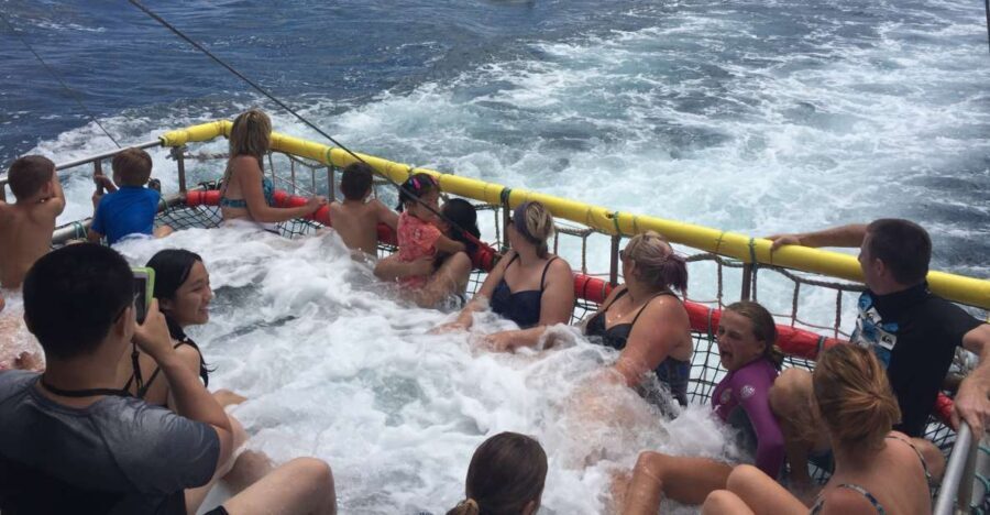 Huskisson: Dolphin Cruise & Boom Netting Experience - The Weather and Dolphin Sightings