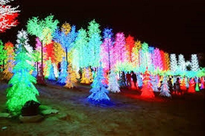 I-City Night Tour - Authentic Perspectives from Travelers