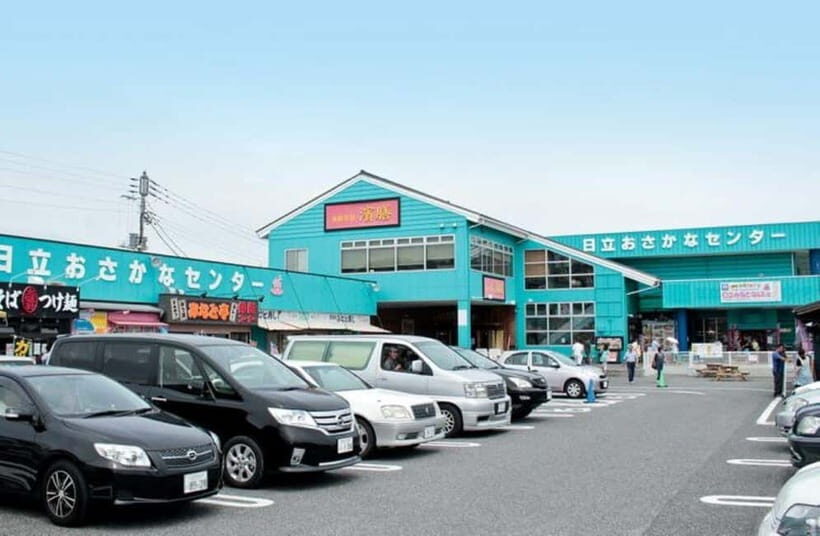 Ibaraki: Seafood Market, Kochia Hills, and Mentaiko Tour - Miharashi Hill & Kochia Hills: The Picture-Perfect View