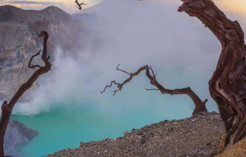 Ijen Crater: Blue Fire and Sulfur Mines Half-Day Tour - Who Will Love This Tour?
