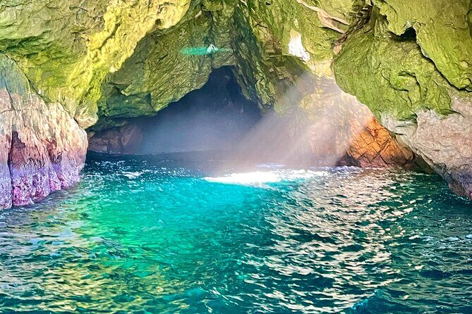 Ile Des Phoques and Maria Island Cruise and Walk Day Tour with Lunch - Who Should Consider This Tour?