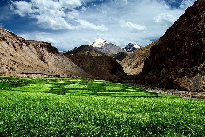 In the wonderful land of Kashmir - Value and Practicality: Is It Worth It?