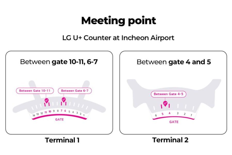 Incheon Airport: Traveler SIM & T-money Transportation Card - The Value for Travelers