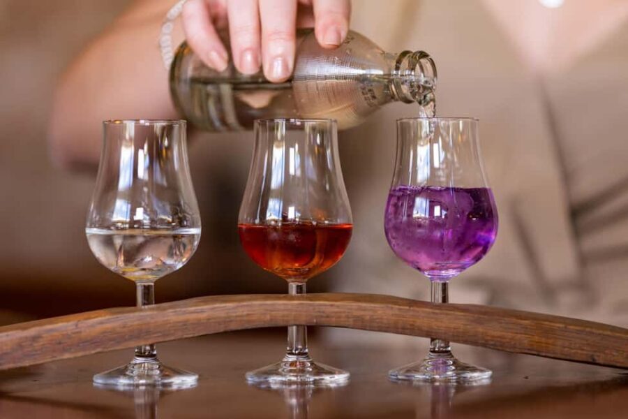 Ink Gin Experience at Husk Farm Distillery - Practicalities and Considerations