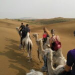 Inner Mongolia Hohhot 1Day Kubuqi Desert (Whistling Dune Bay)Tour - FAQs