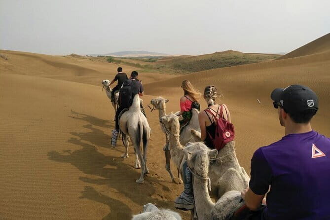 Inner Mongolia Hohhot 1Day Kubuqi Desert (Whistling Dune Bay)Tour - FAQs