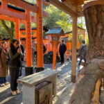 Inside of Fushimi Inari - exploring and lunch with locals - Who Will Appreciate This Tour?