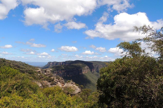 Inside the Greater Blue Mountains World Heritage - A Wildlife Safari Overnight - An In-depth Look at the Itinerary