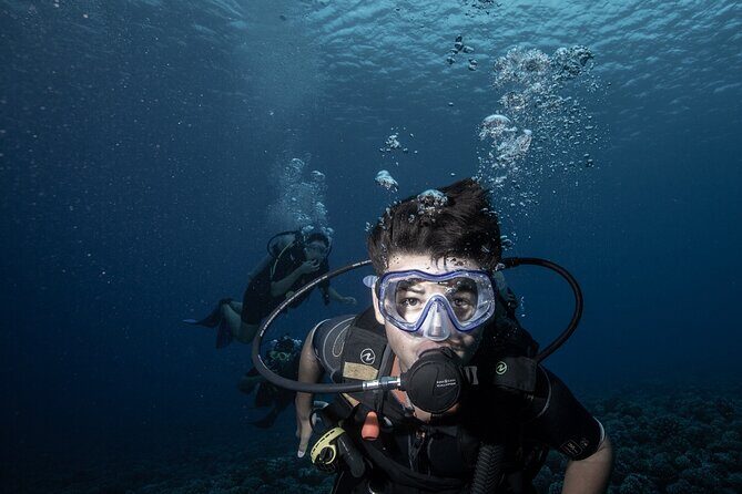 Introductory Scuba Diving Experience in Bora Bora - What Travelers Say