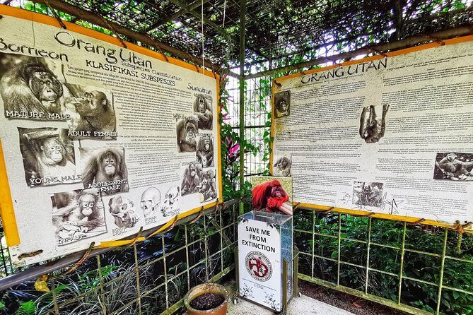 Ipoh & Orang Utan Island Day Tour from Kuala Lumpur - Who Would Enjoy This Tour?