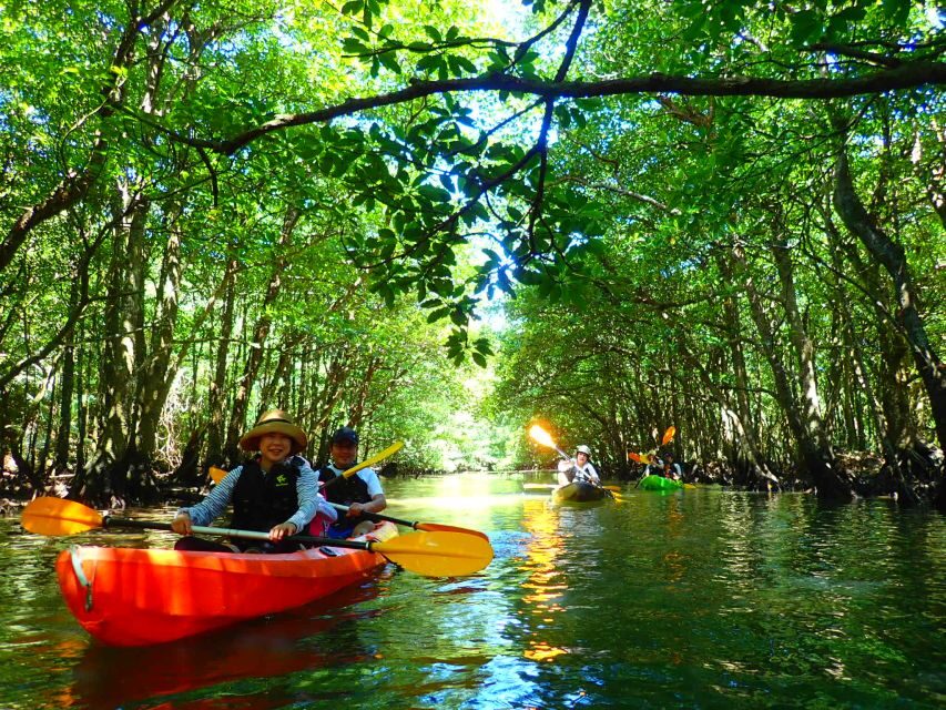 Iriomote Island: SUP or Canoeing and Canyoning Tour - Who Will Love This Tour?
