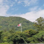 Ise: Express Tour of Japans Most Sacred Shrine - Who Would Find This Tour Most Valuable?