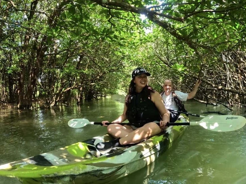 Ishigaki Island: 2-Hour Miyara River SUP or Canoeing Tour - Why This Tour Is Worth Considering