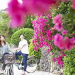 Ishigaki Island: Blue Cave Snorkeling & Taketomi Sightseeing - What Makes This Tour Stand Out?