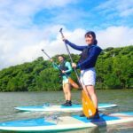 Ishigaki Island: SUP or Canoeing and Snorkeling at Blue Cave - Key Points