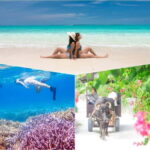 Ishigaki: Phantom Island Snorkeling and Taketomi Sightseeing - An In-Depth Look at the Tour Experience
